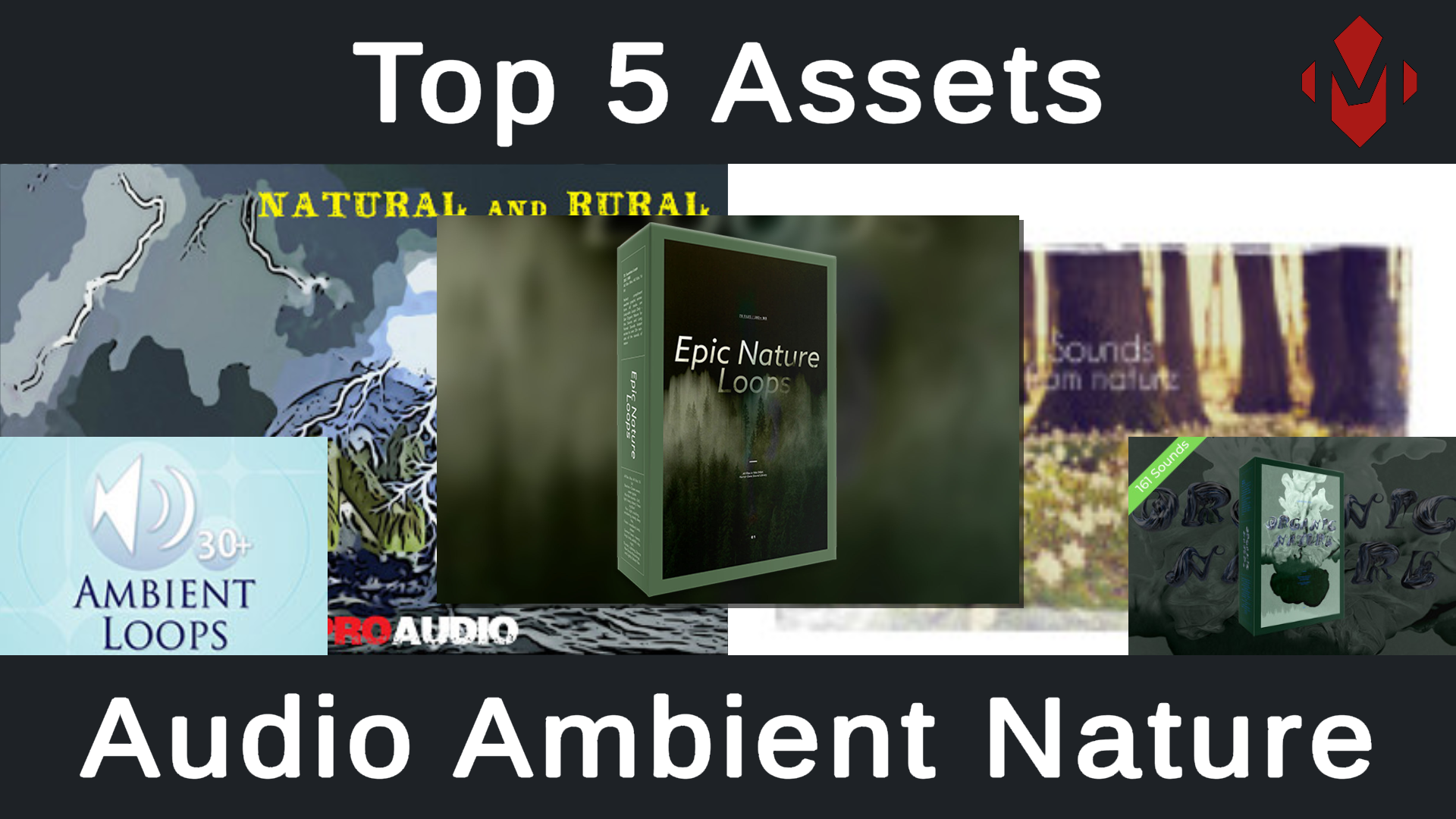 Top 5 Unity Assets Audio Ambient Nature Projectmakers